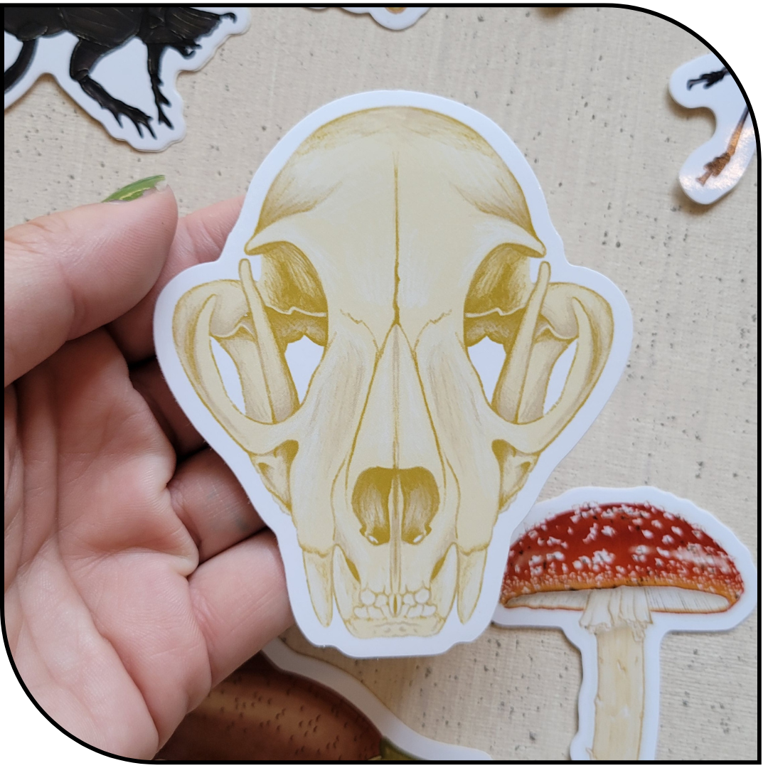 WOLF SKULL STICKER – thehollowbird