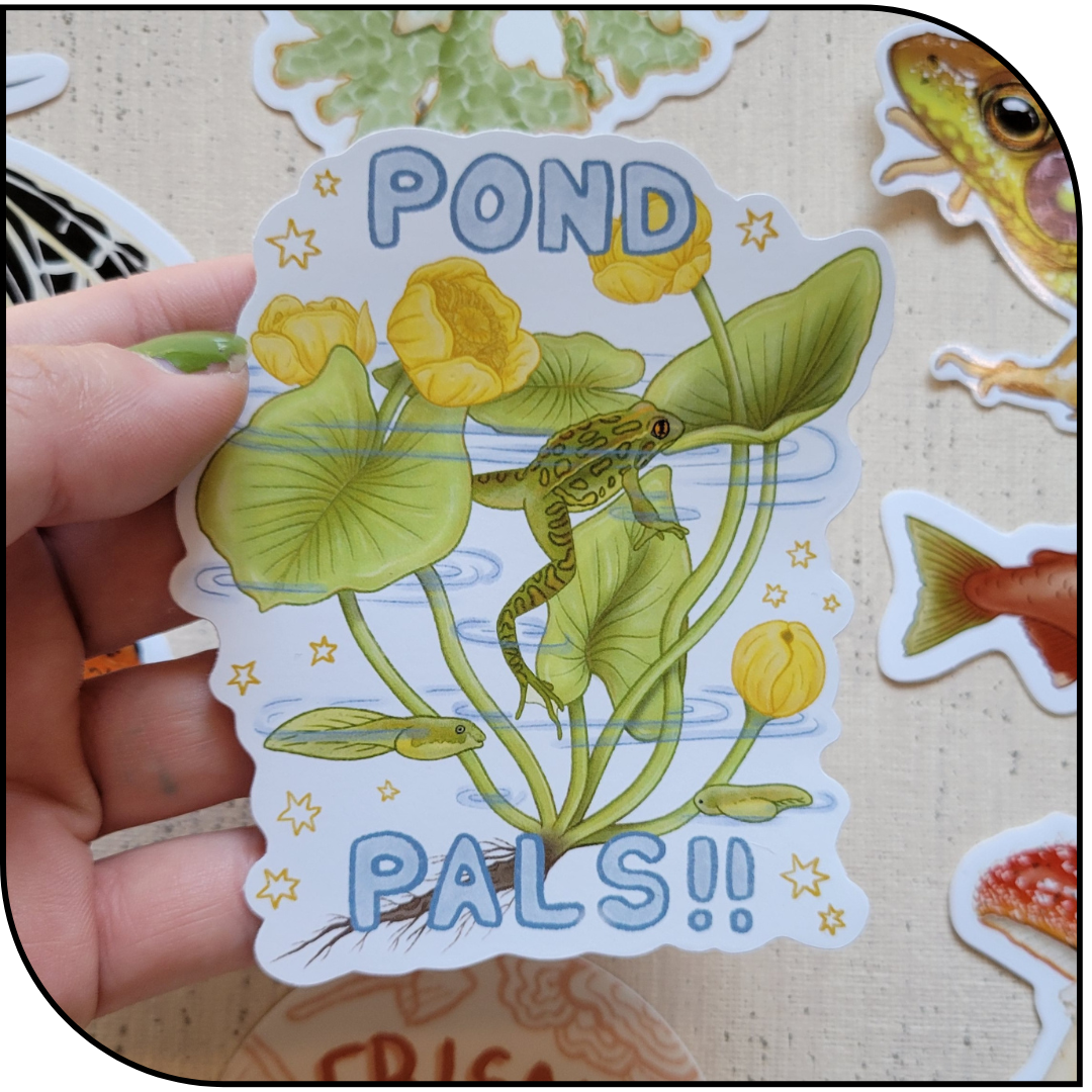 POND PALS STICKER – thehollowbird